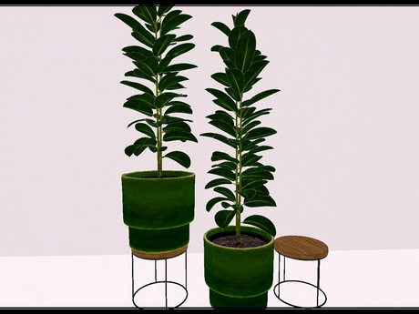 Second Life Marketplace - [AE] Home & Garden - Rubber Fig Plant & Stand